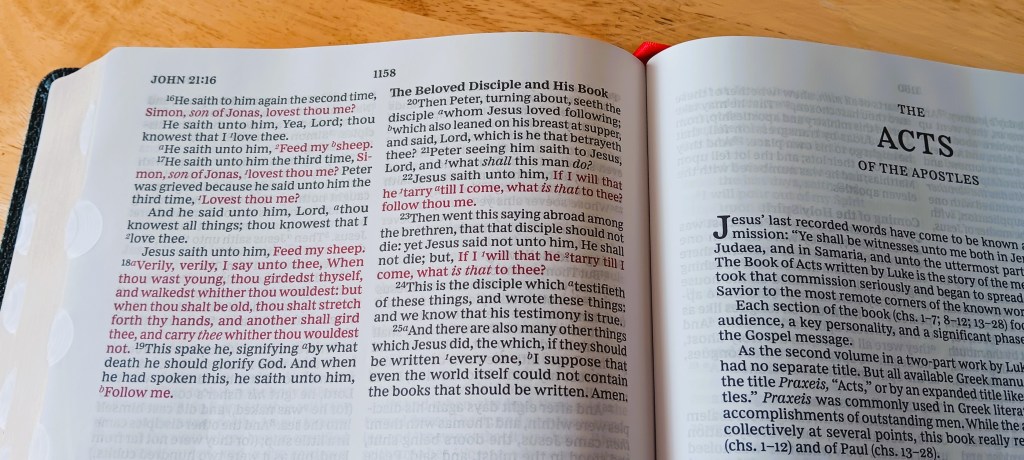 KJV Paragraph-Style Bible, Large Print Thinline indexed, †Thomas Nelson ...