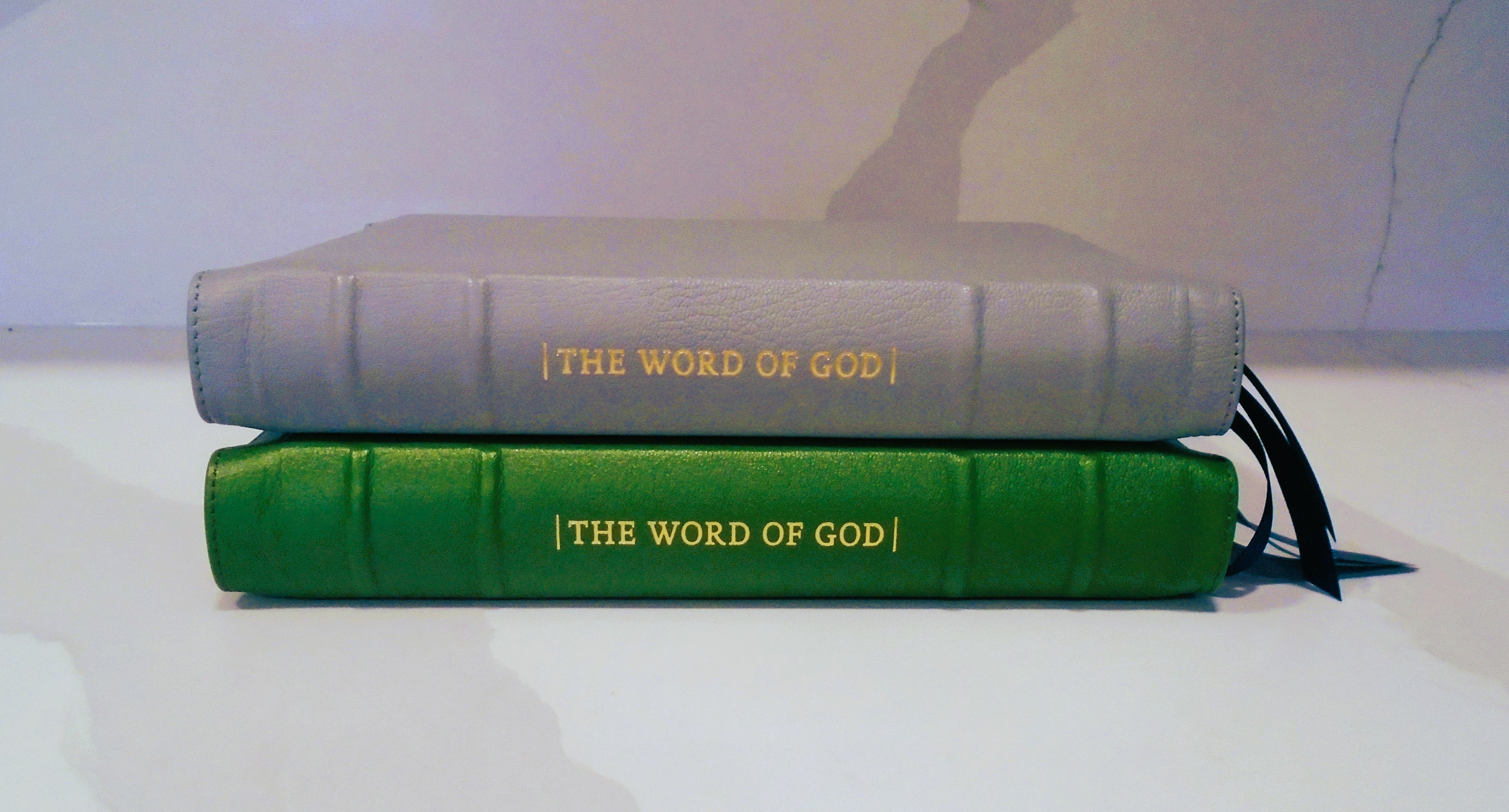 Humble Lamb Bibles – KJV Lion Reference “refreshed” edition ...